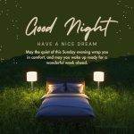 465+ Friday Good Night Wishes - Weekend Prep, Calm Night - Very Wishes