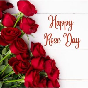 348+ Happy Teddy Day Wishes 2024 - Messages, Captions & Gift Ideas ...